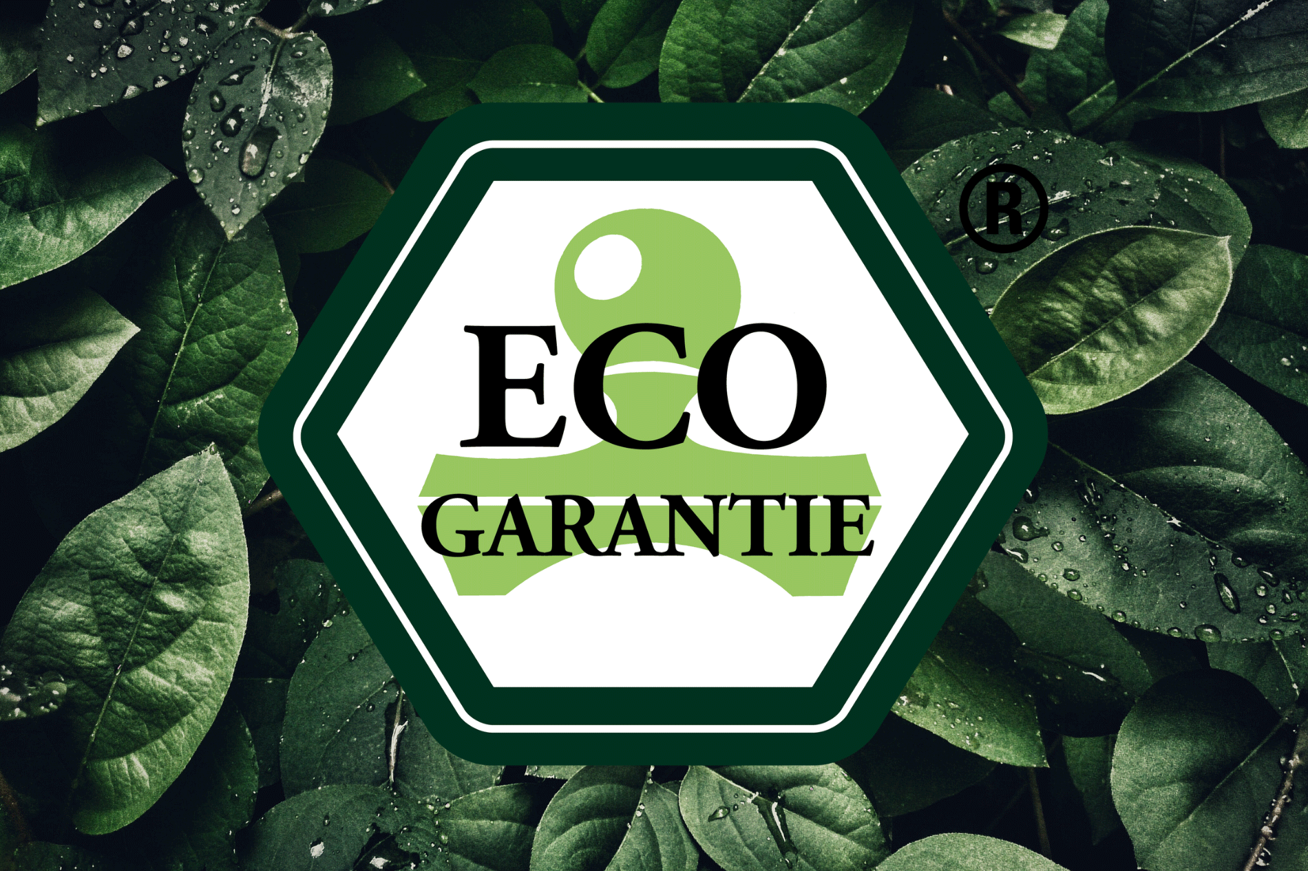 L’Ecolabel Ecogarantie : un label écologique fiable, indépendant et ...